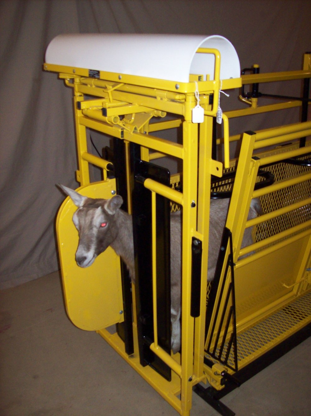 Chutes | Mountainview Machine | Livestock Equipment